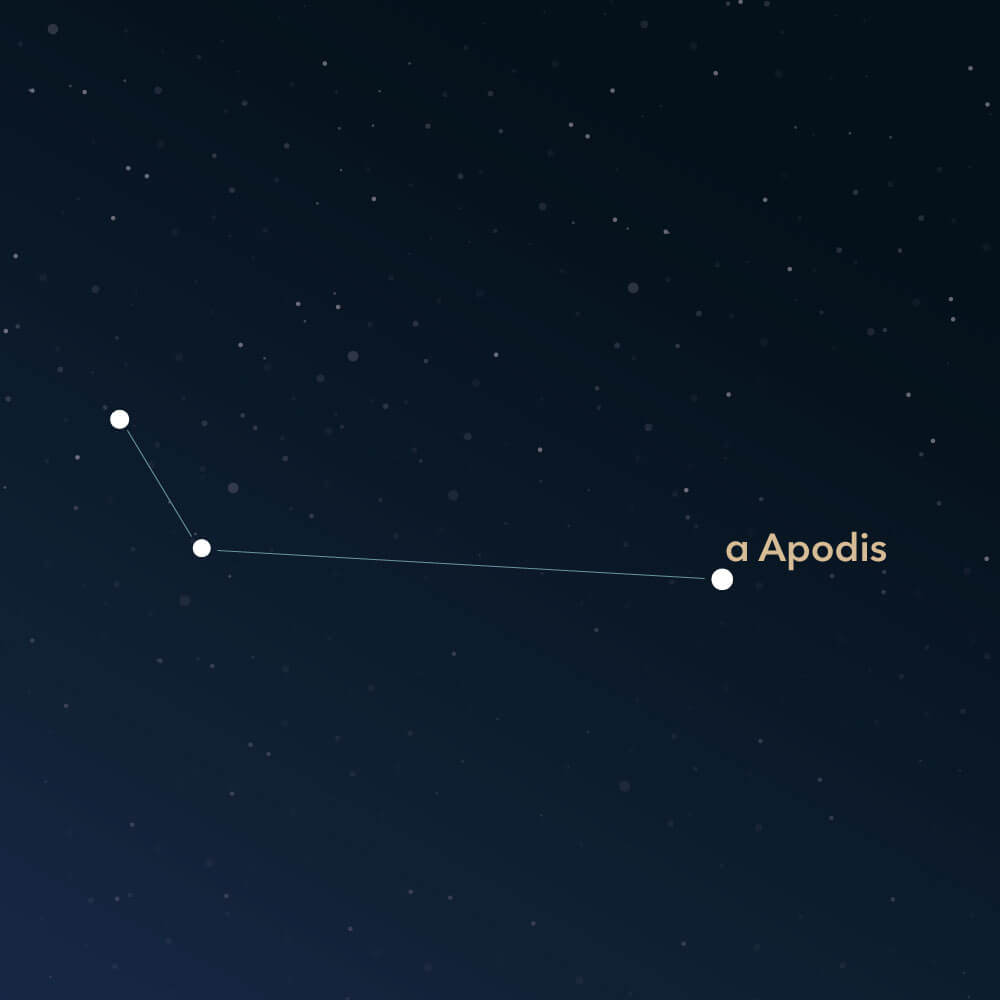 Constellation Apus | Interesting Information
